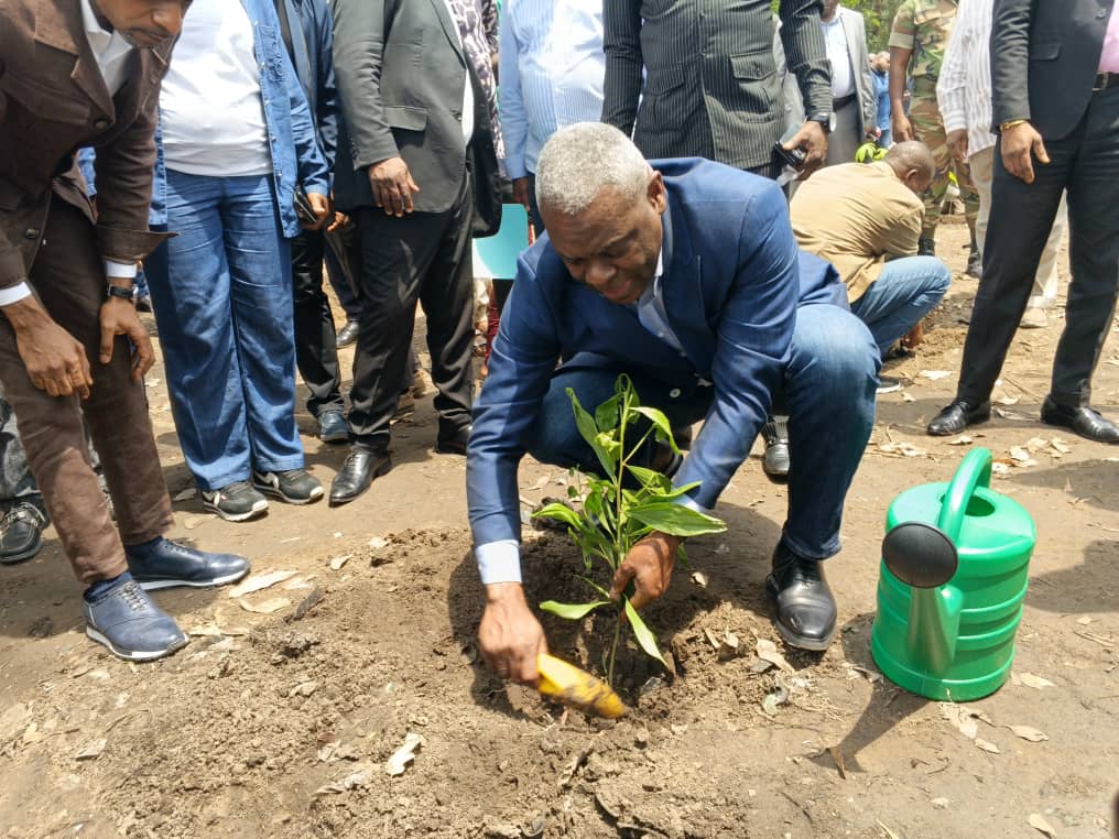 Congo/ 39ème éditions de l’arbre : 2700 plants d’essences locales et ...